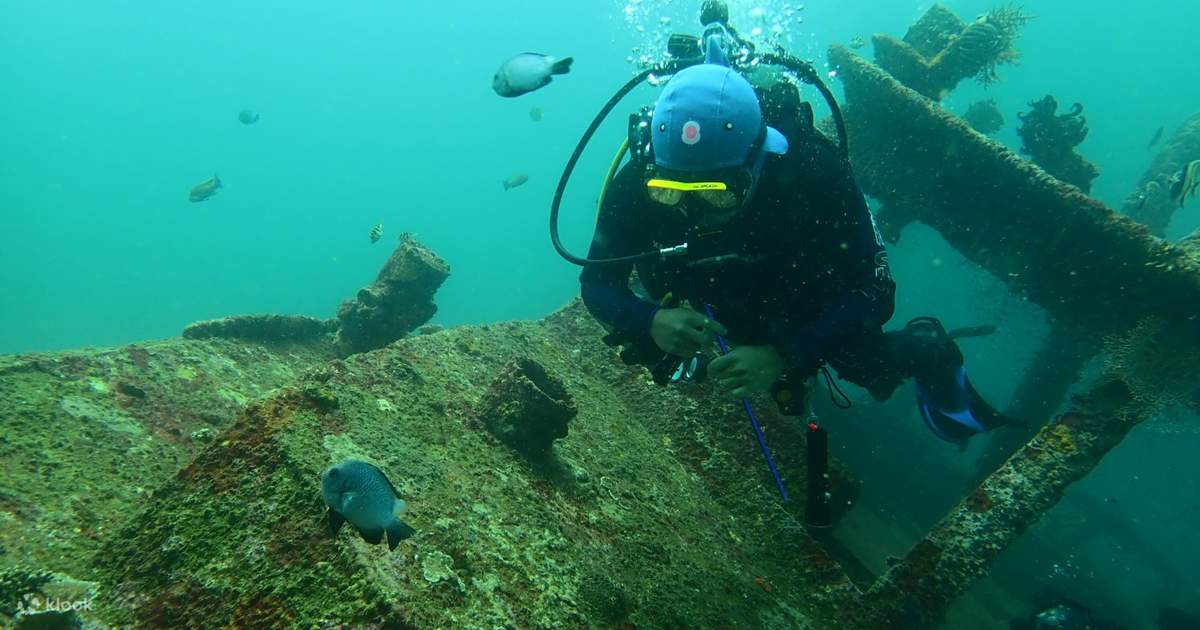 Découverte de la plongée sous-marine à l'est de Bali par Bali Aqua Dive Center à Bali - Klook ...
